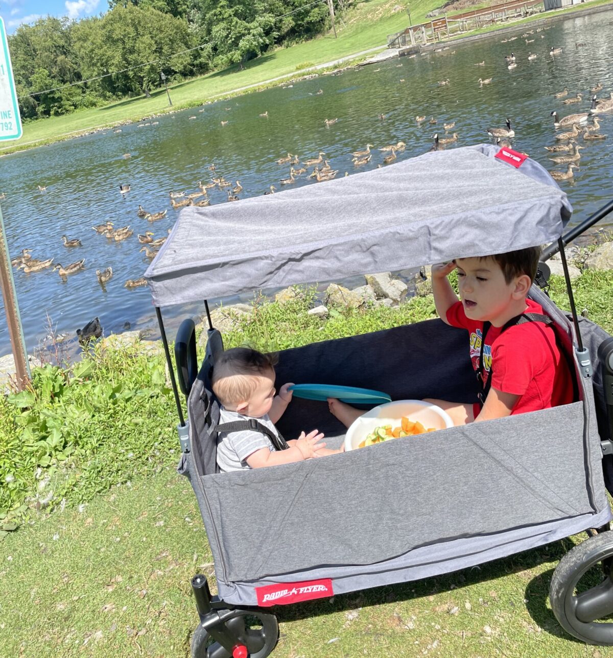 A new wagon helps me transport my kids more easily | Pompe Disease News